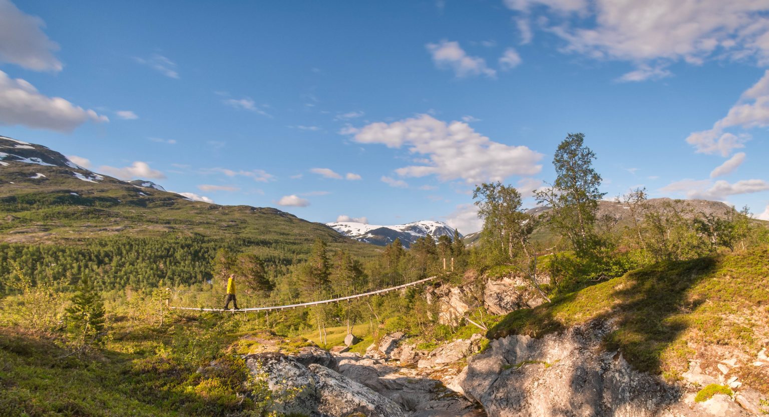 Børgefjell National Park / Byrkije vaarjelimmiedajve - Visit Helgeland