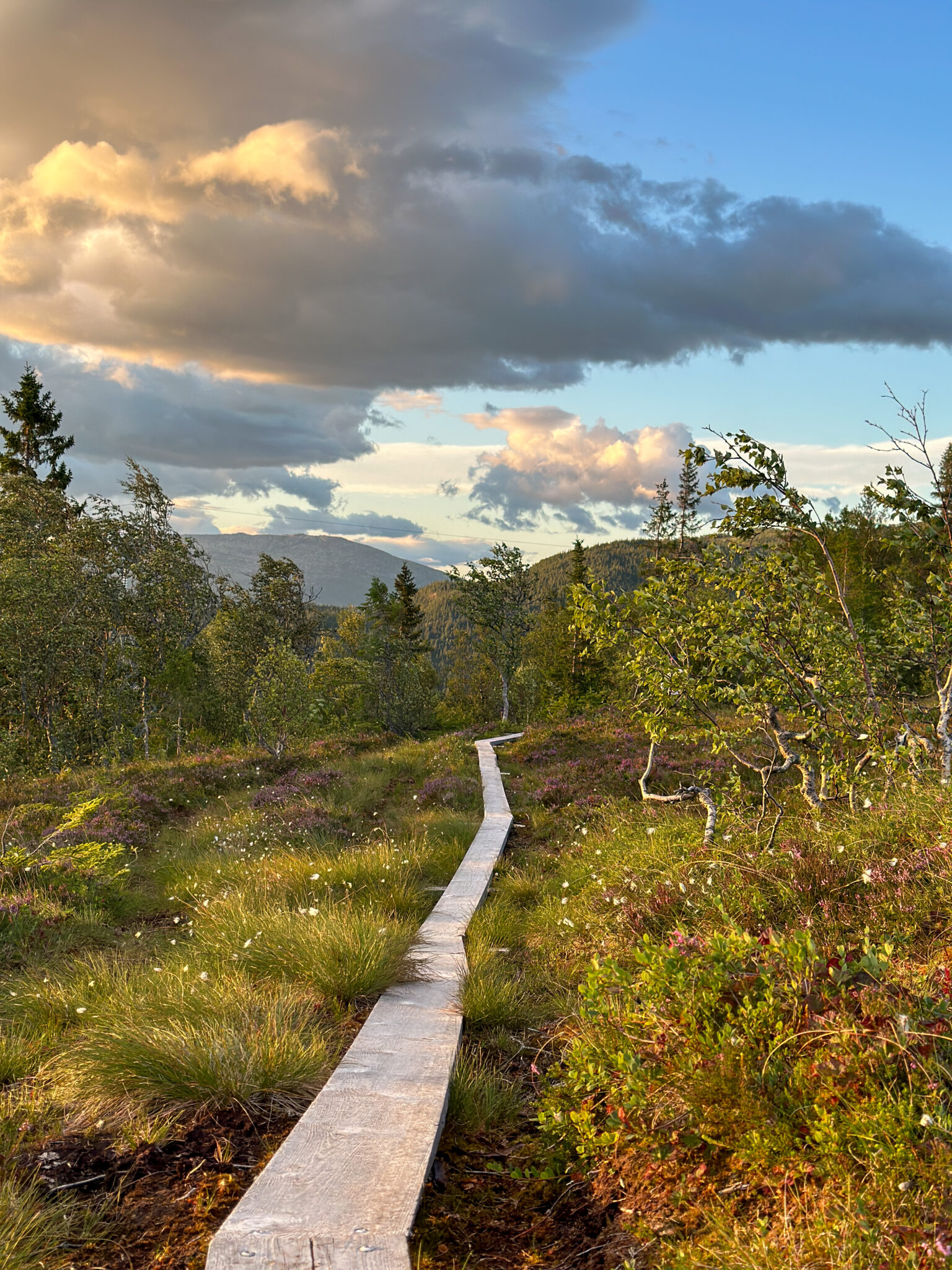 A hiking adventure: Panorama in Mosjøen - Visit Helgeland